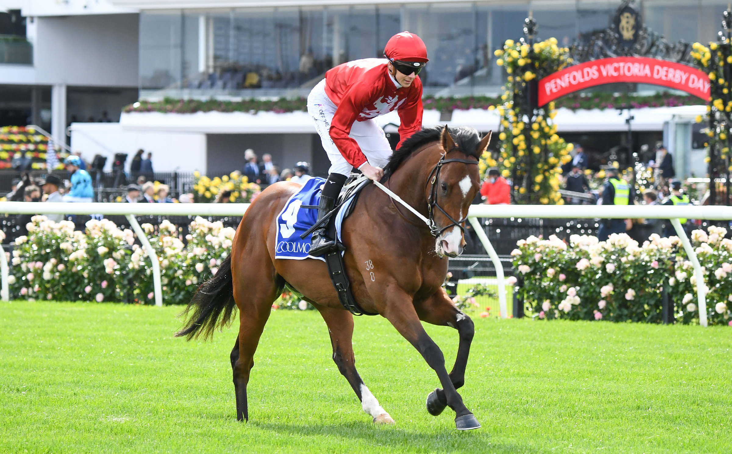 Extreme Warrior - Rosemont Estate